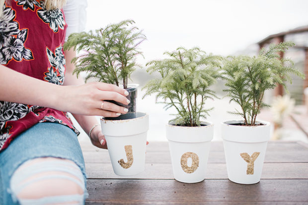 Inspired Idea: Mini Trees with DIY Gold Leaf Terra Cotta Pots - Lauren ...