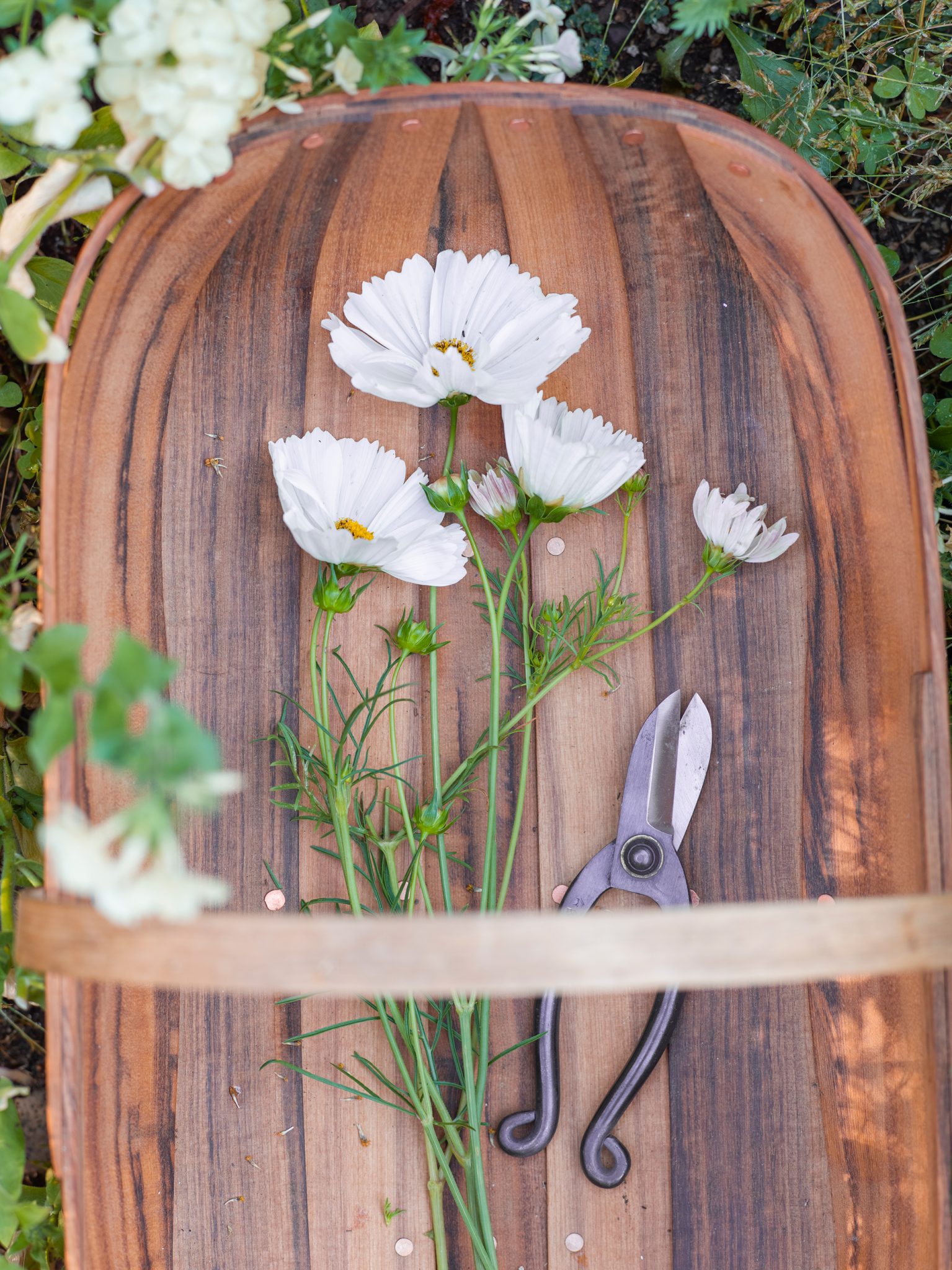 Garden To Vase: The Best Tips For Harvesting, Foraging & Designing ...